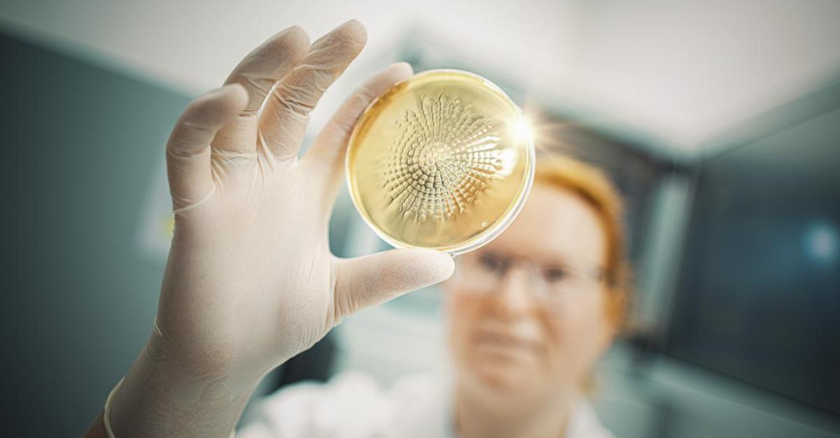 Viable monitoring - Quality Control - Quality